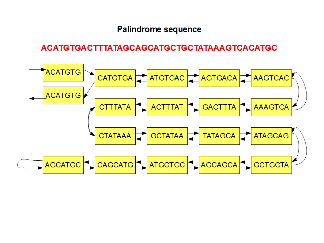 De Bruijn Graph of a Palindromic Sequence « Homolog.us – Bioinformatics
